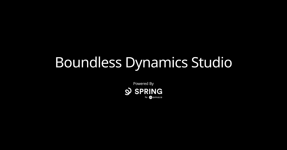 Boundless Dynamics Studio