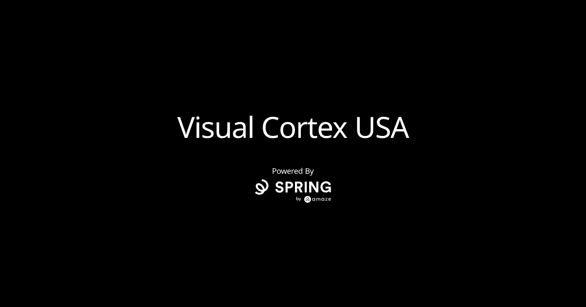 Visual Cortex USA
